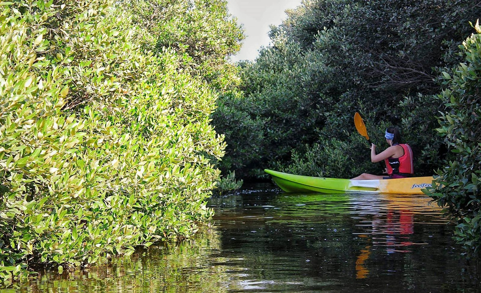 UAE Tree Planting for a Sustainable Future | Companies for Good