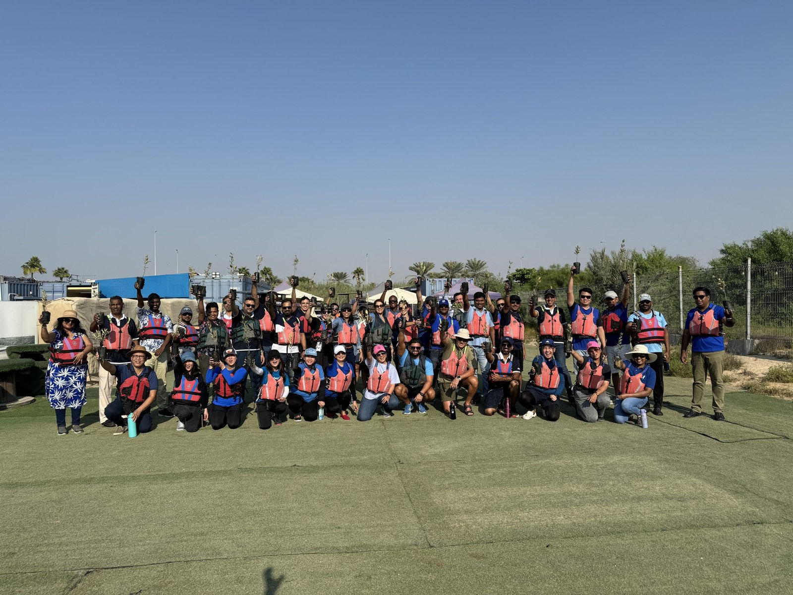 Veolia Team Planting Mangrove Trees in the UAE | Companies for Good